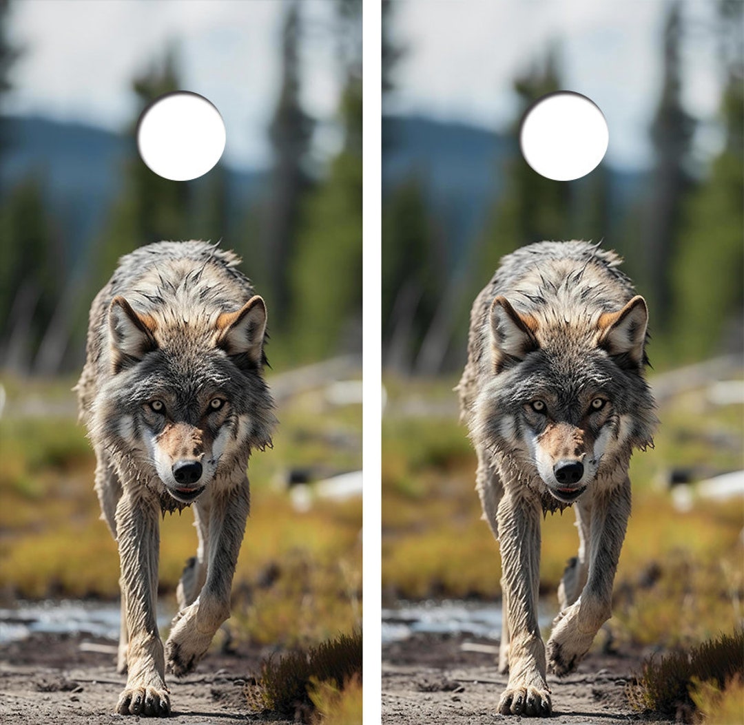 Timber Wolf Cornhole Board Skin Wraps FREE LAMINATE - Etsy