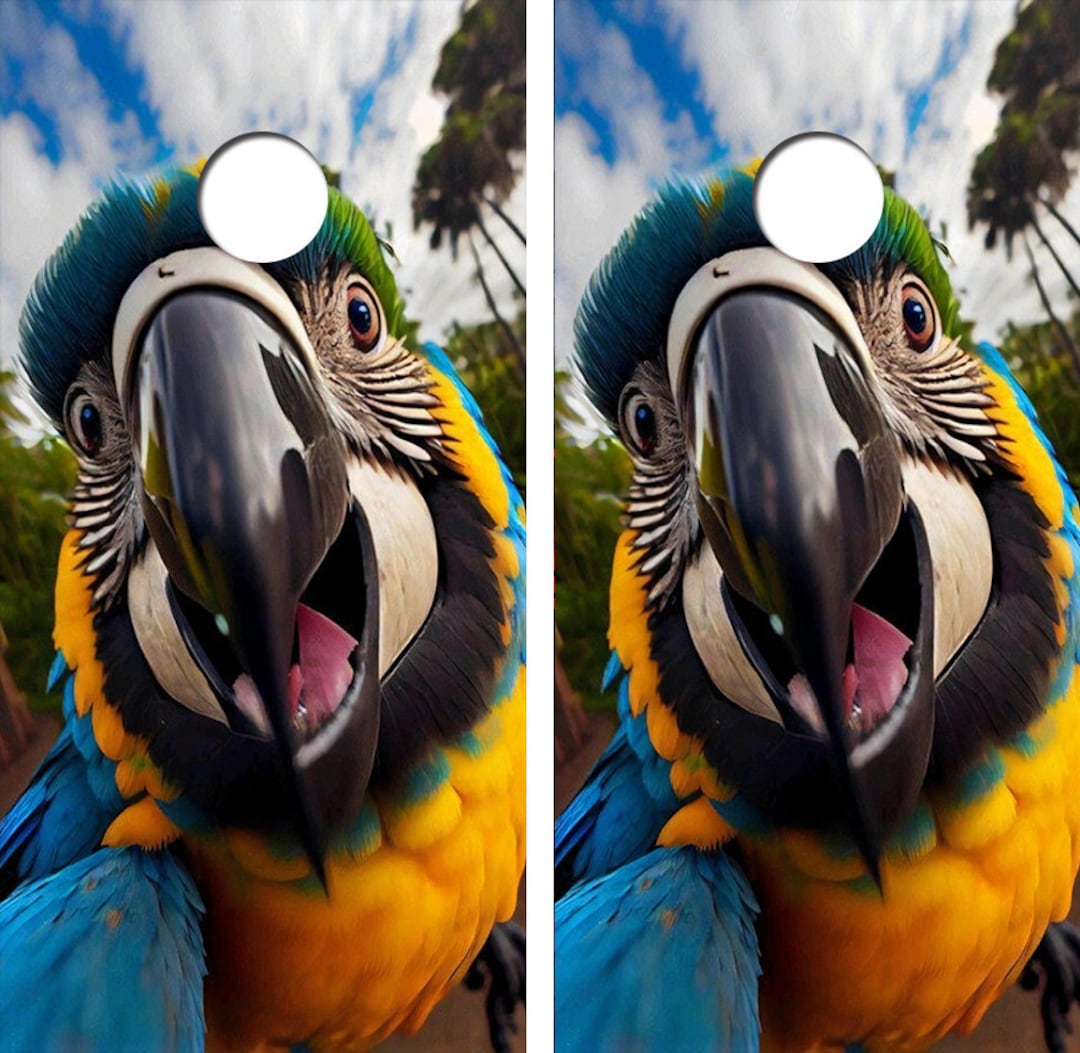 Say Cheese Happy Parrot Cornhole Board Skin Wraps FREE LAMINATE - Etsy