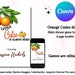 Editable - Orange (cuties) Baby Shower Game Booklet - 8 Pages - Answer ...