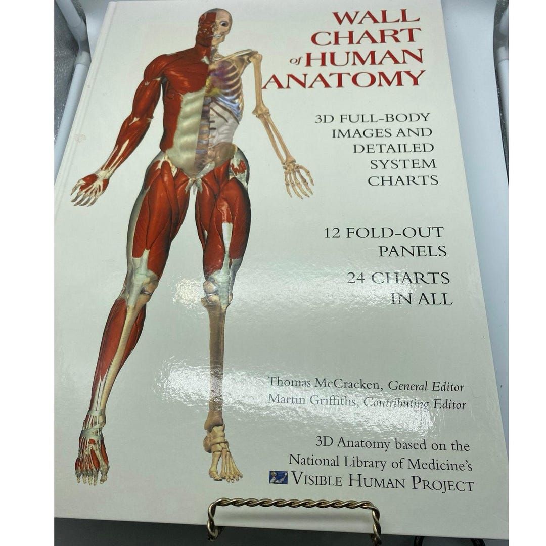 Wall Chart of Human Anatomy, Thomas Mccracken 2001 24 Charts ISBN ...