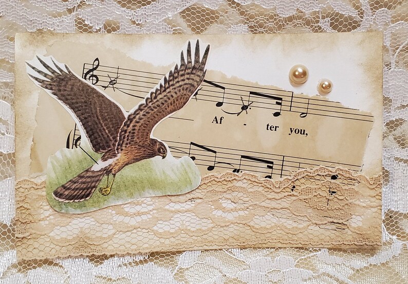 Birds of Prey Altered Index Cards, Junk Journal, Art Journal, Journal ...