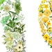 Mom of 221 Flowers, Best Gift Mother Clipart, Watercolor Flower, High ...