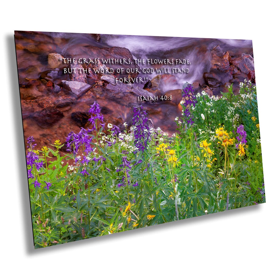 Colorado Lilac Wall Art - Purple Mountain Flowers With Faith Verse - Etsy