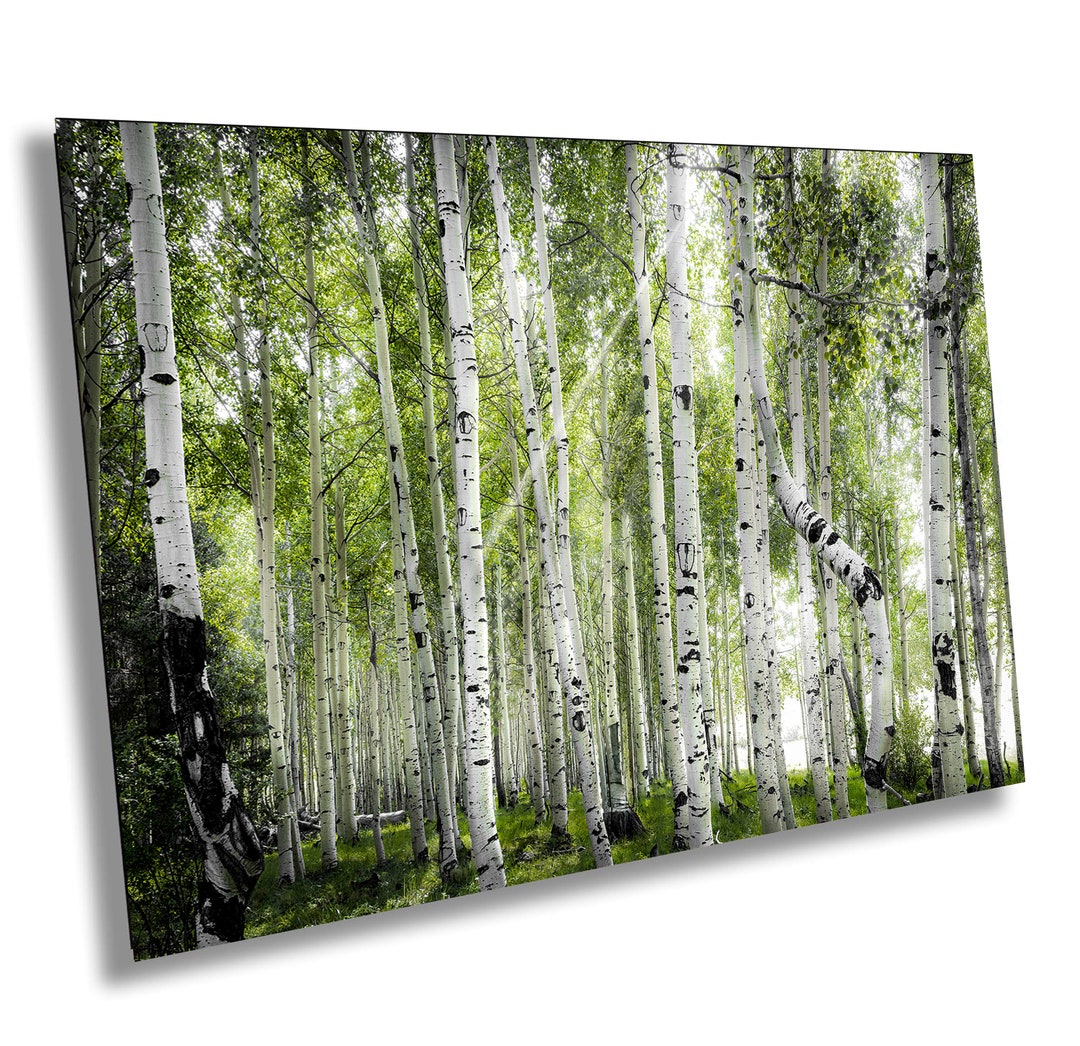 Boho Aspen Tree Print: Bright Northern Arizona Fall Colors - Etsy