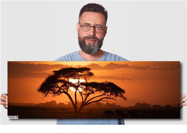 Amboseli Park Sunset Print, Acacia Tree and Wildlife (kenya Landscape ...
