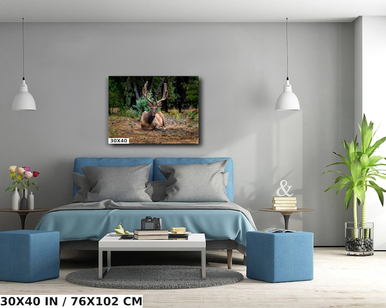Bull Elk Canvas Print: Forest Wildlife Scene (rustic Home Decor) - Etsy