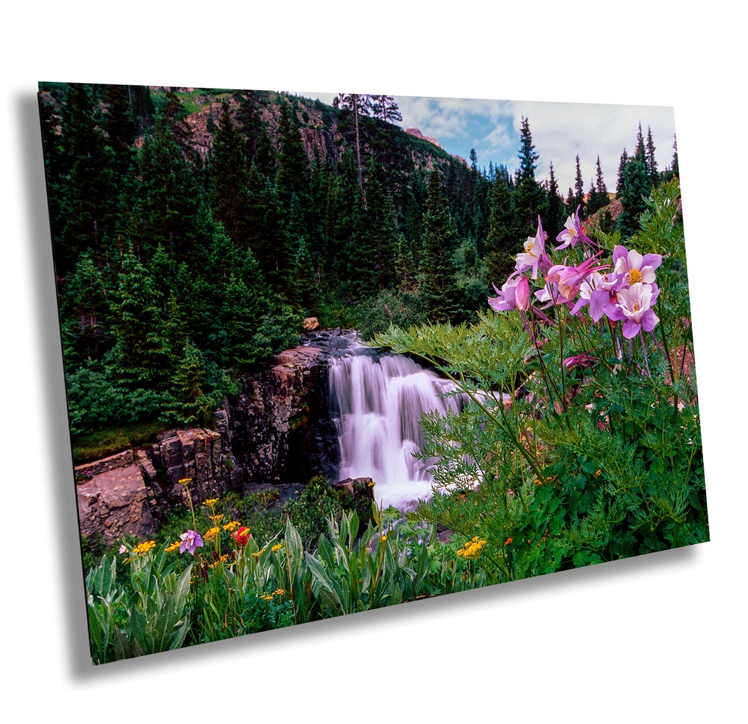 Colorado Nature Wall Art: Wildflowers and Mountains - Canvas or Photo ...