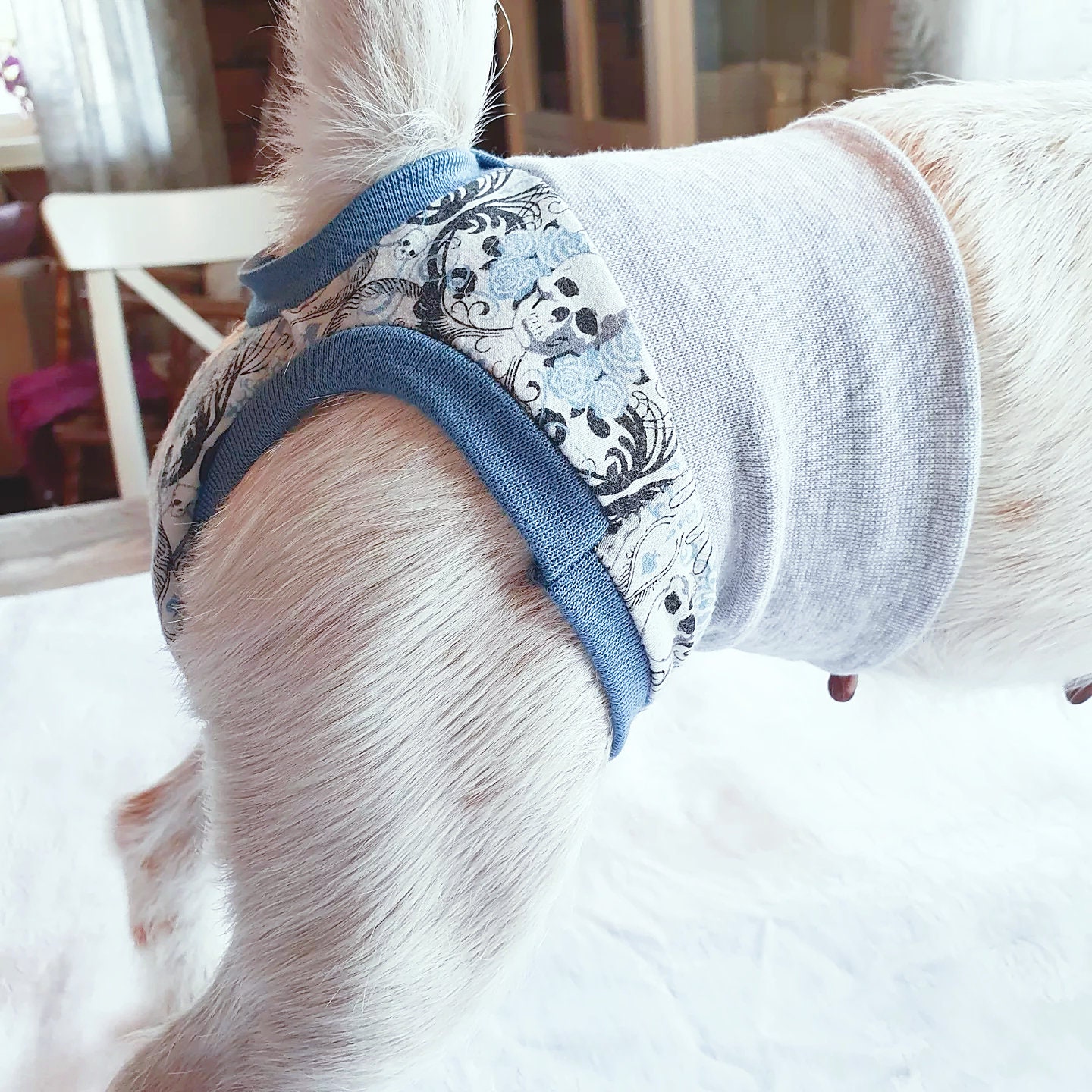 Digital Sewing Pattern. Dog Hygiene Pants. Size Small. English Version ...