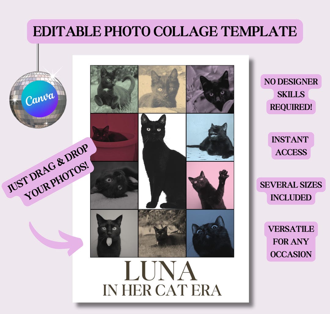Editable Eras Pet Poster Photo Grid, Eras Tour Themed Cat Birthday ...