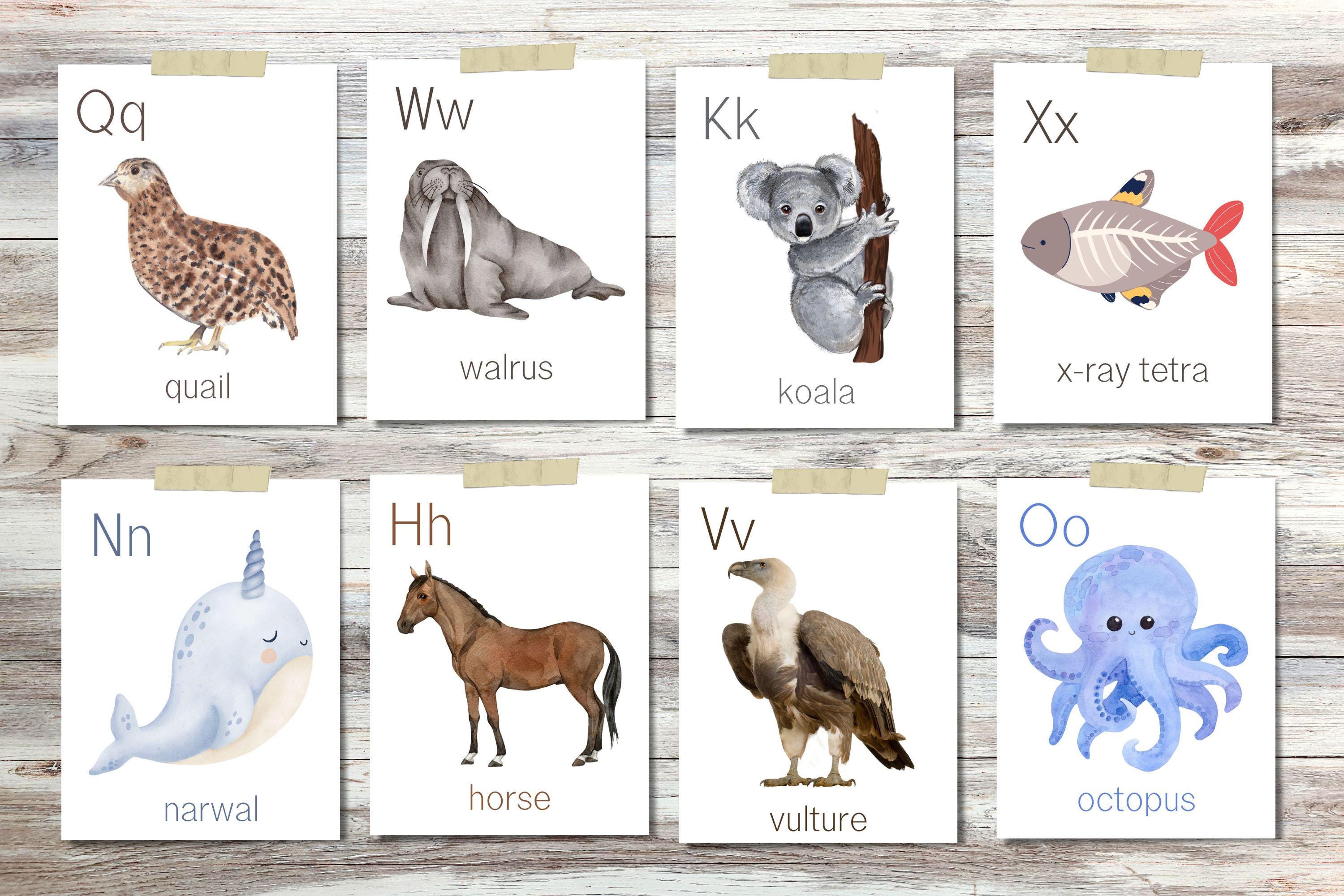 Alphabet Flashcards, Preschool Alphabet Flashcards, Toddler Activities ...