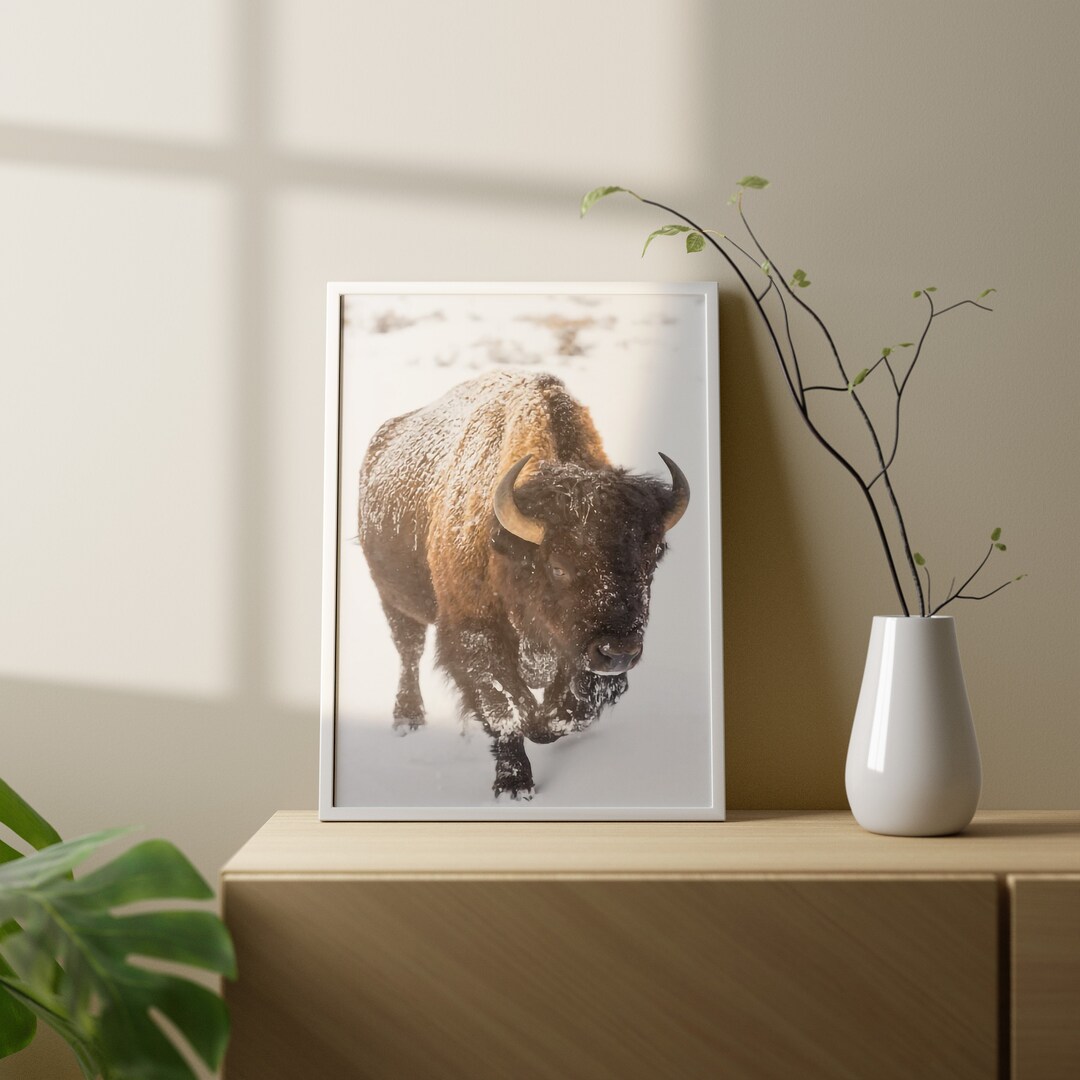 Bison Artwork Buffalo Canvas Wall Art - Etsy