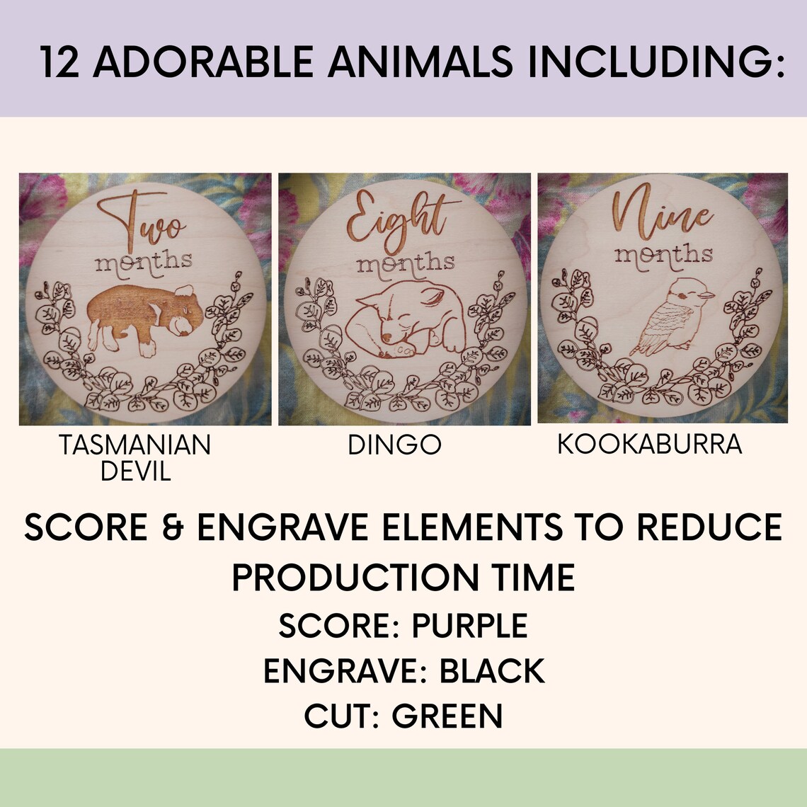 SVG Australian Animal Milestone Markers | Baby Photo Props | Aussie ...