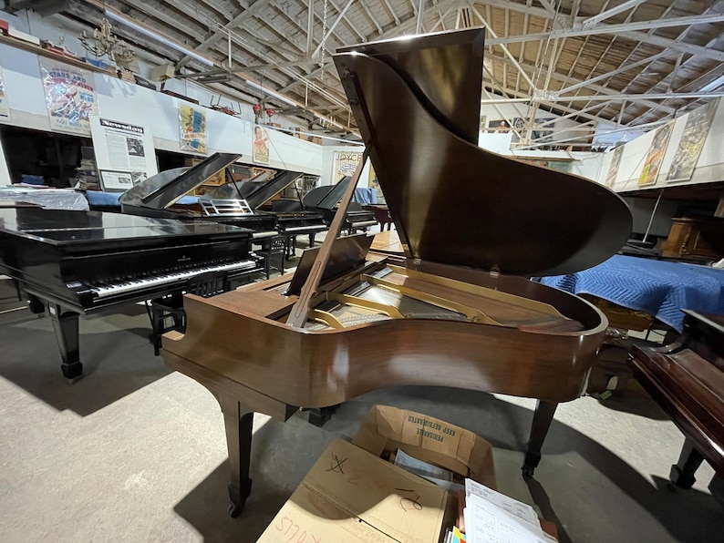 Steinway M Baby Grand Piano Walnut Original Keys!! - Etsy
