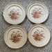International Endura Collection Plates, Pink and Red Retro Floral ...