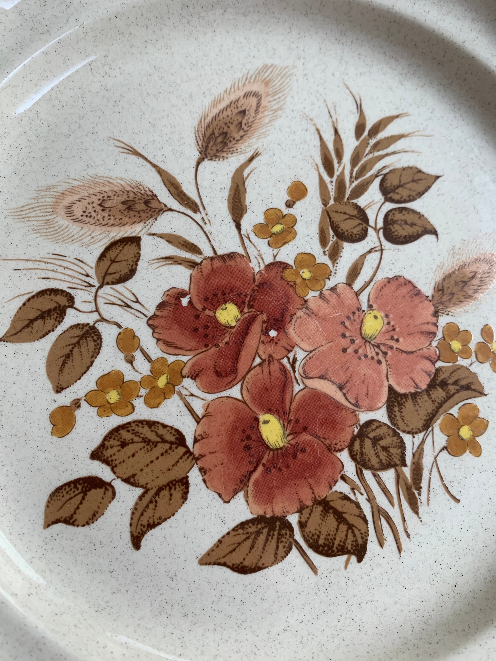 International Endura Collection Plates, Pink and Red Retro Floral ...