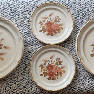 International Endura Collection Plates, Pink and Red Retro Floral ...