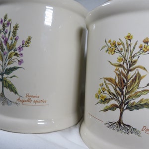 Unique Botanical Himark Canisters, Cookie Jar, Kitchen Decor, Floral ...