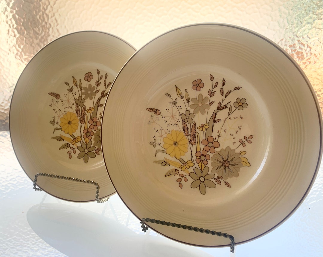 Selbourne Woodware Jasmine 10" Dinner Plates, Set of 2, Retro ...
