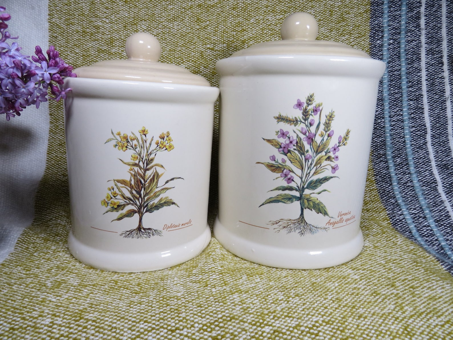 Unique Botanical Himark Canisters, Cookie Jar, Kitchen Decor, Floral ...