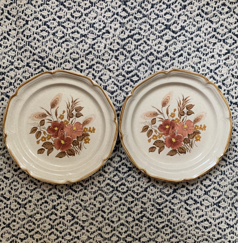 International Endura Collection Plates, Pink and Red Retro Floral ...