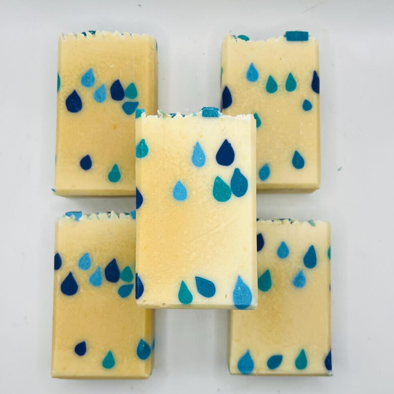 Soap and Water Cleaning - Etsy