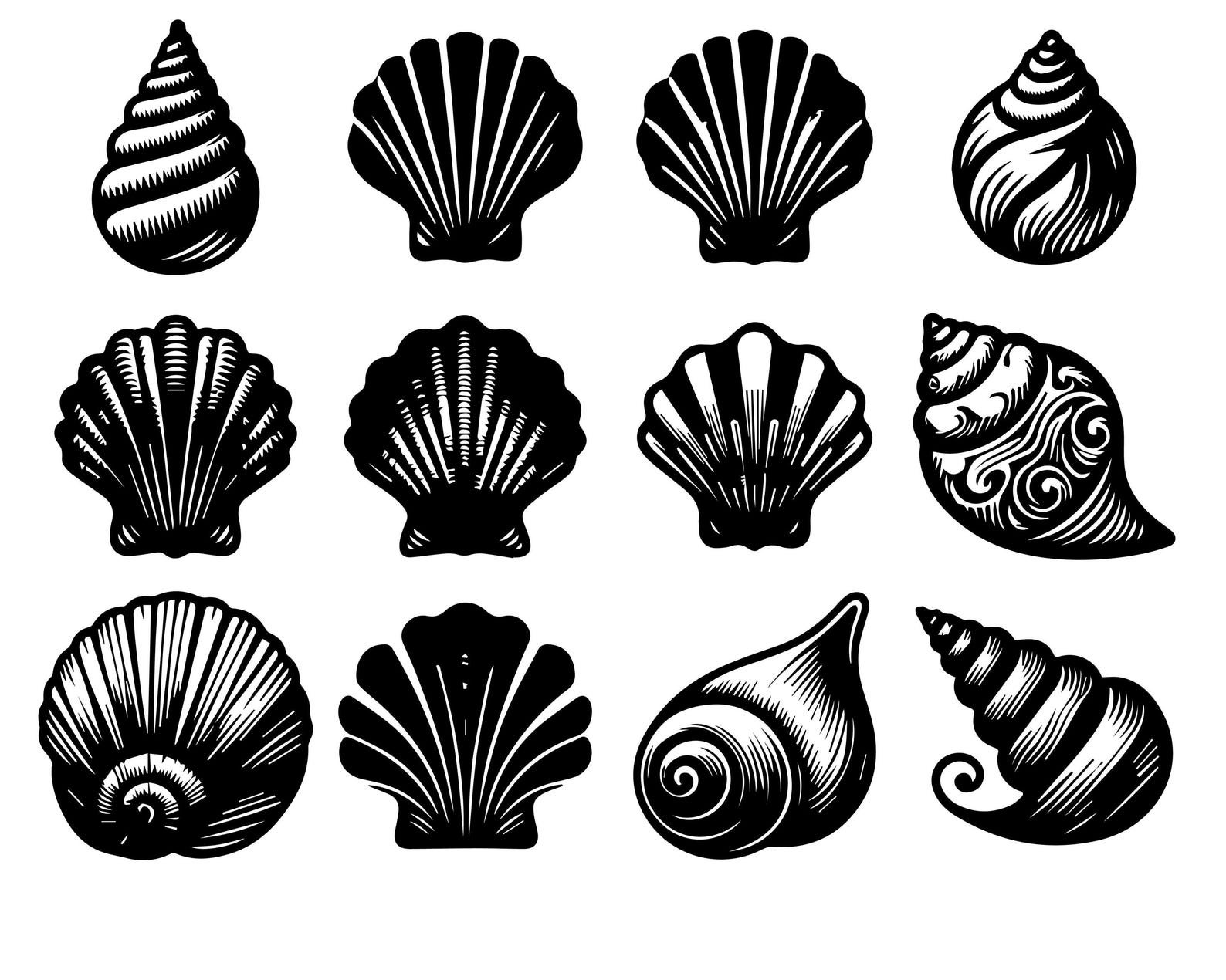 Seashell SVG Bundle, Seashell PNG Bundle, Sea Shell Vectors, Beach ...