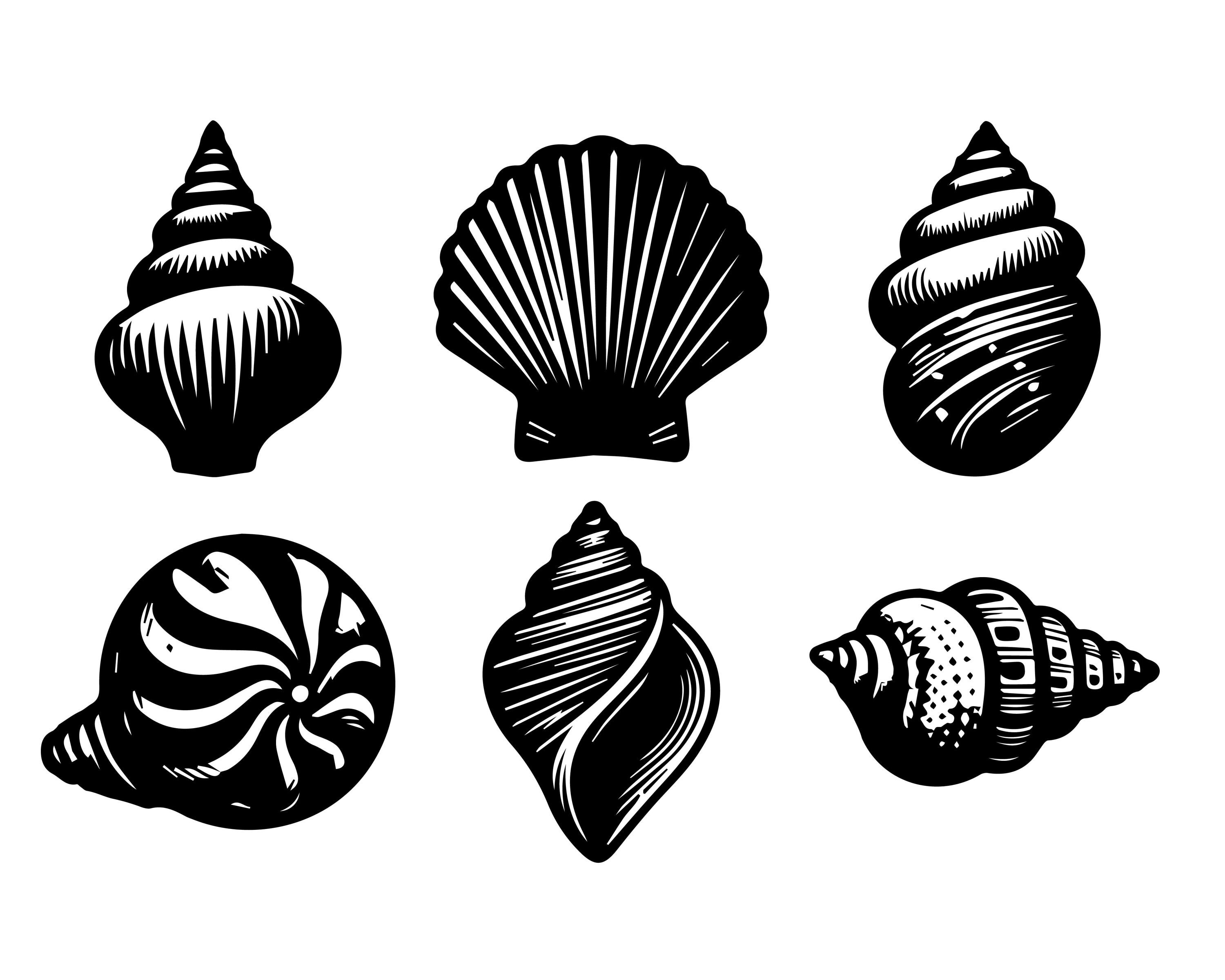 Seashell SVG Bundle, Seashell PNG Bundle, Sea Shell Vectors, Beach ...