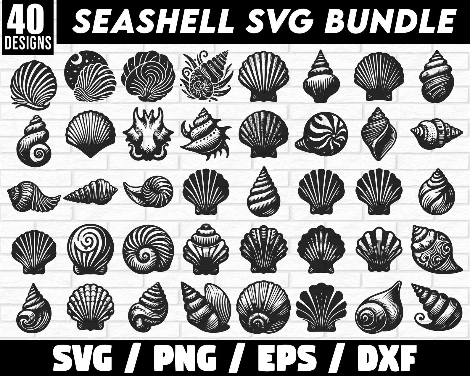 Seashell SVG Bundle, Seashell PNG Bundle, Sea Shell Vectors, Beach ...