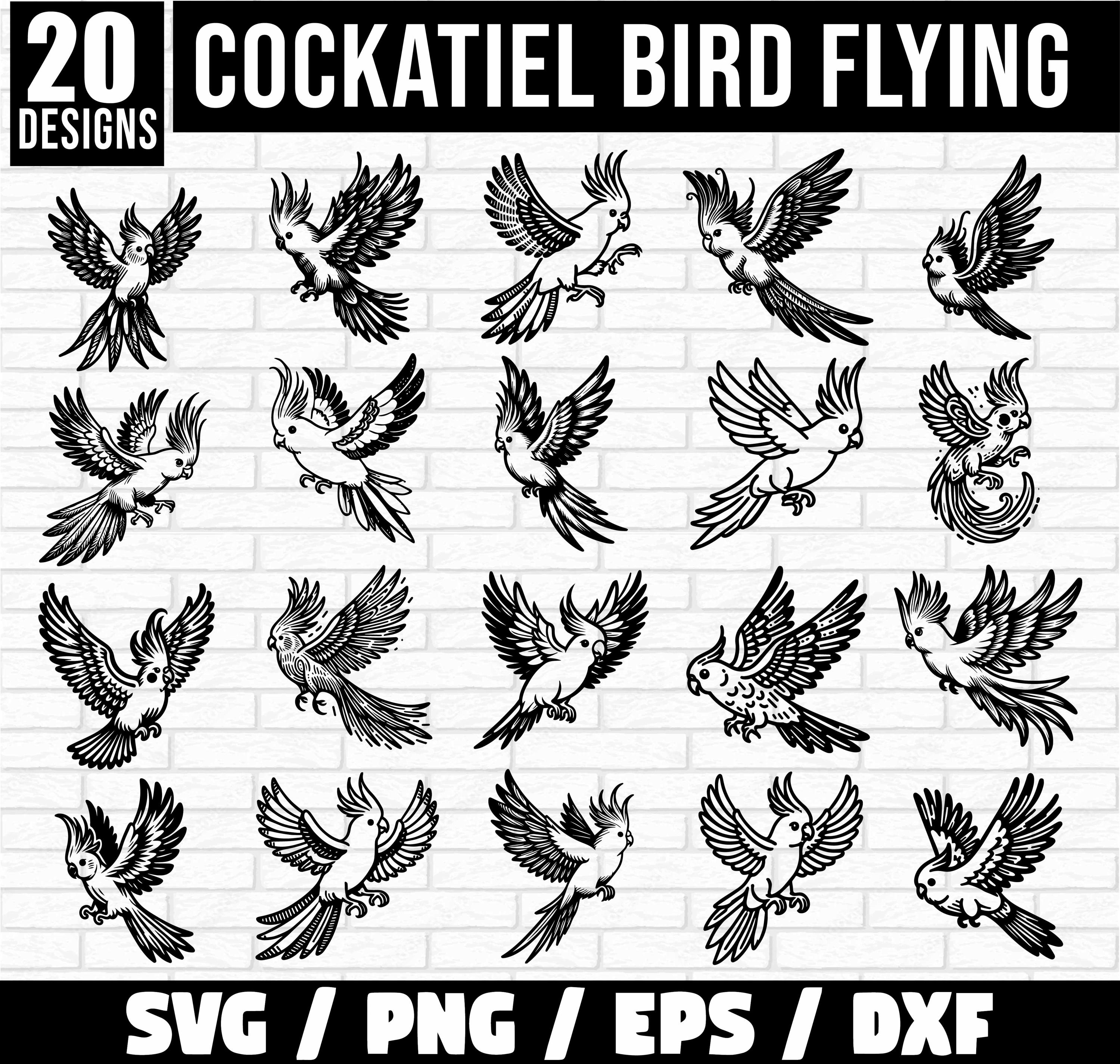 Cockatiel SVG, Cockatiel Bundle Svg Png, Cute Bird, Cute Cockatiel ...