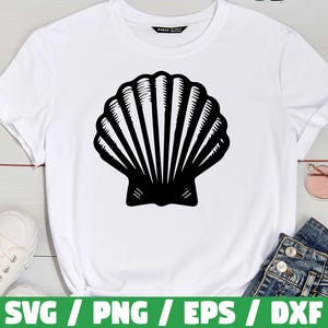 Seashell SVG Bundle, Seashell PNG Bundle, Sea Shell Vectors, Beach ...