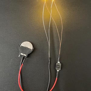 Prewired Double Micro LED Light Assembly With On/off Switch & 3 Volt ...