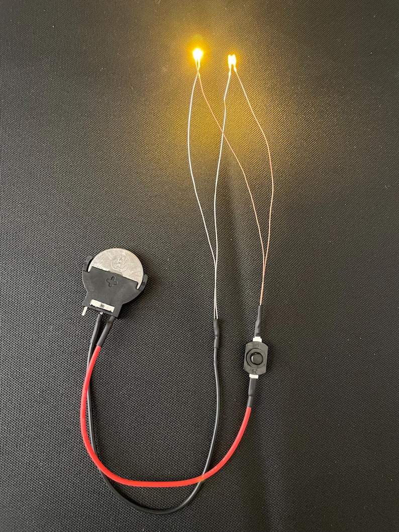 Prewired Double Micro LED Light Assembly With On/off Switch & 3 Volt ...