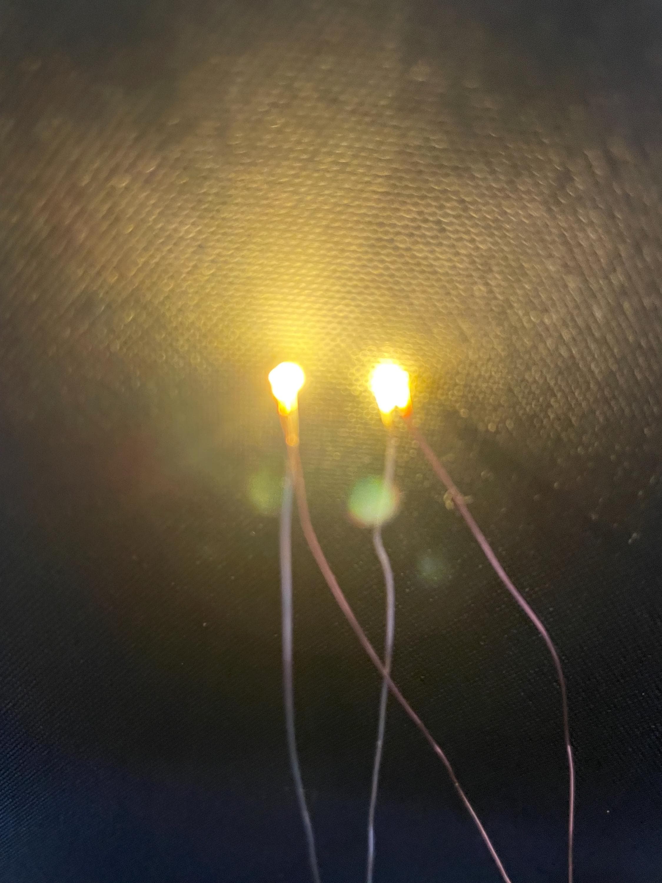 Prewired Double Micro LED Light Assembly With On/off Switch & 3 Volt ...
