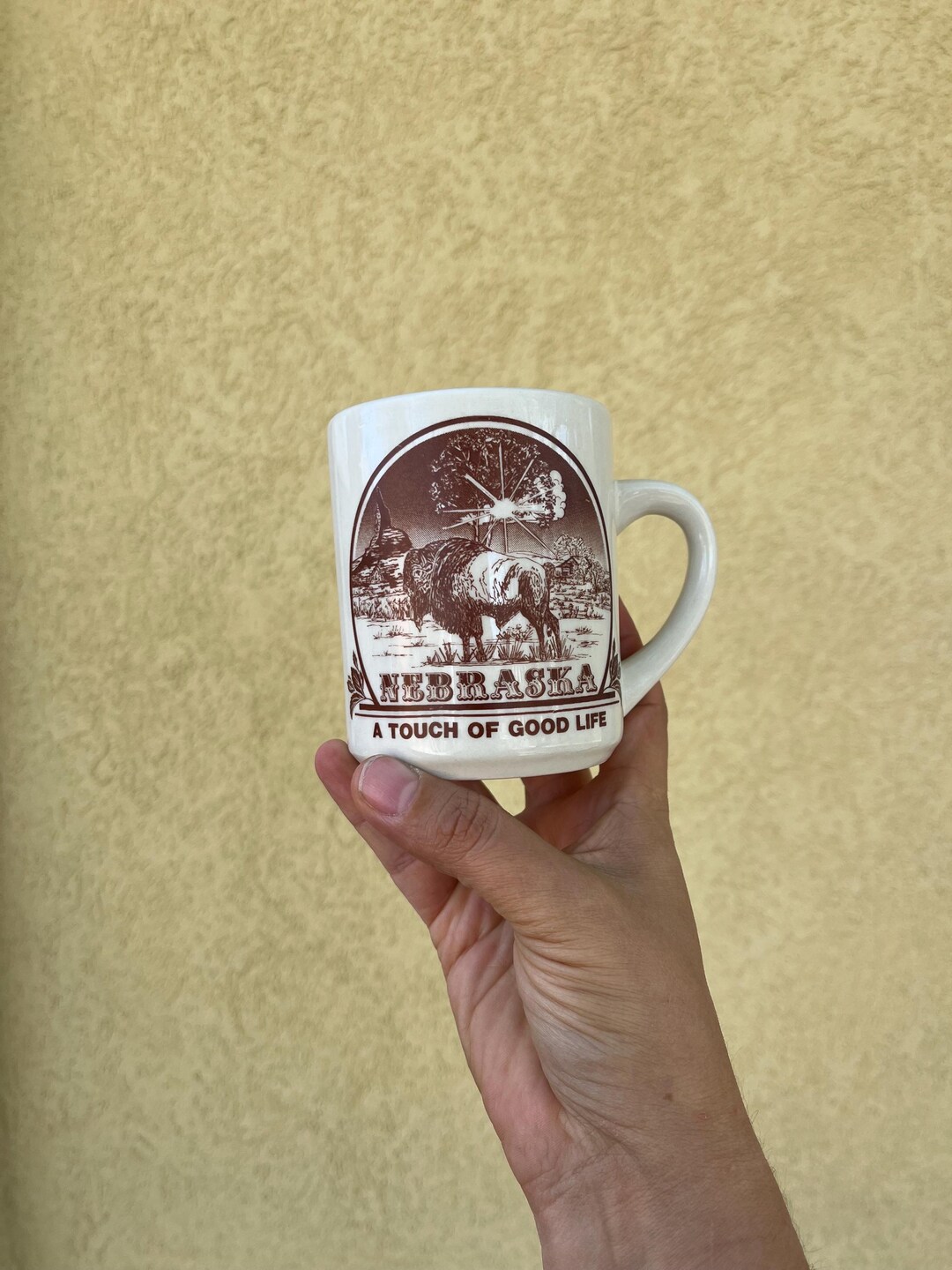 Vintage Bison Mug Nebraska a Touch of Good Life - Etsy