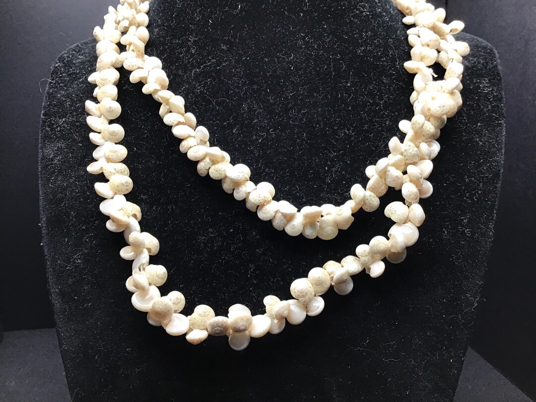 Vintage Sea Snail Shell Necklace - Etsy