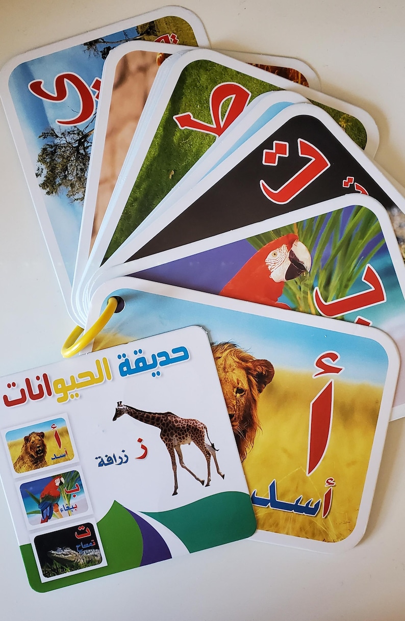 Arabic Alphabet Flash Cards: Printable Learning Cards - Etsy