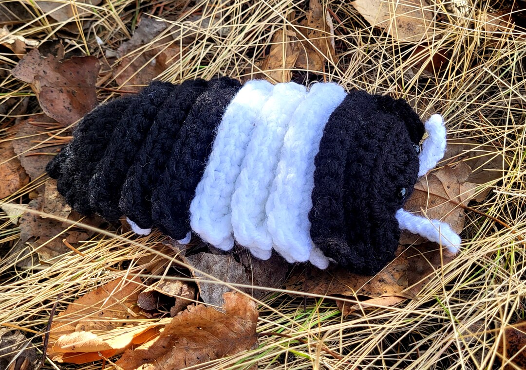 Isopod Plushie Panda - Etsy