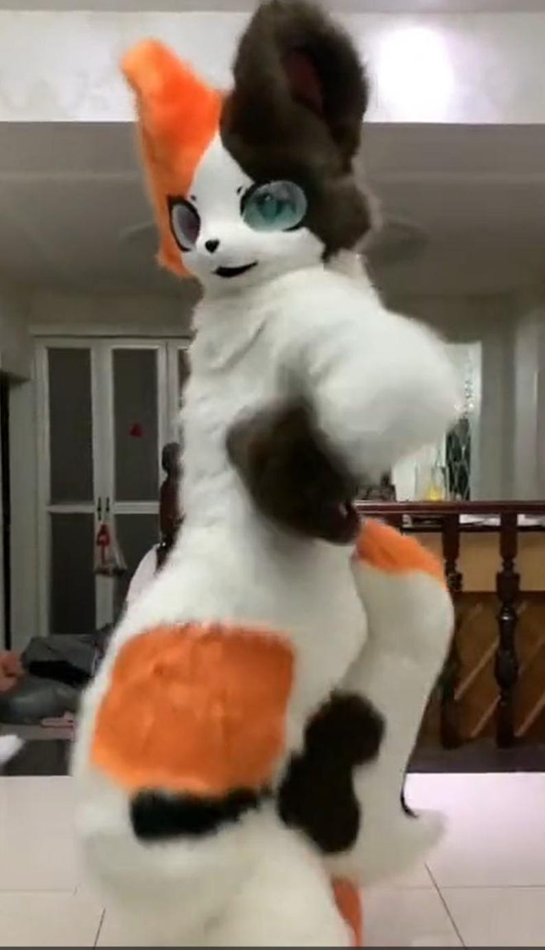 Personalized Furry Fursuit Set: Custom Cosplay Costume. Kemono Fursuit ...