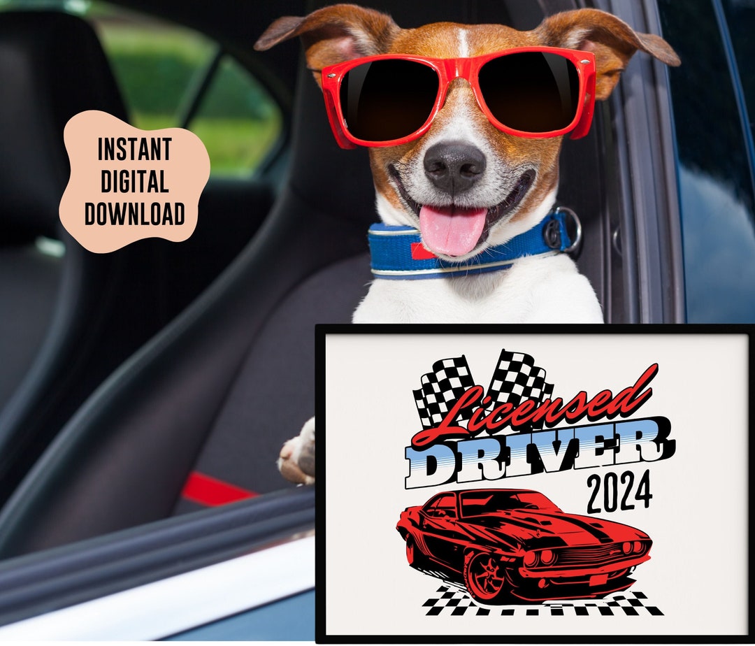 Newly Licensed Driver Photo Prop, Passed Driving Test 2024 PRINTABLE ...