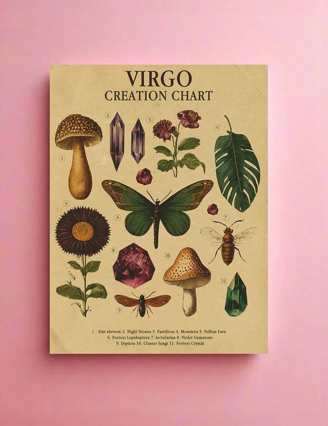 Virgo Nature Chart - Zodiac Creation Chart Print, Zodiac Art, Zodiac ...
