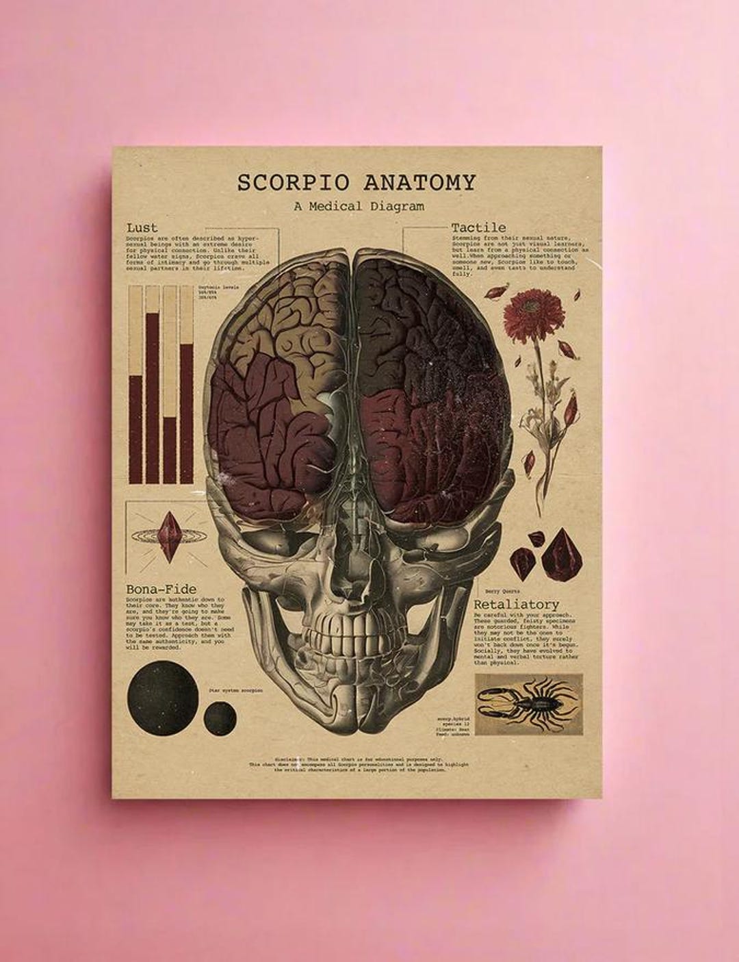 Libra Medical Diagram Zodiac Anatomy Print, Zodiac Art, Fine Art Poster ...