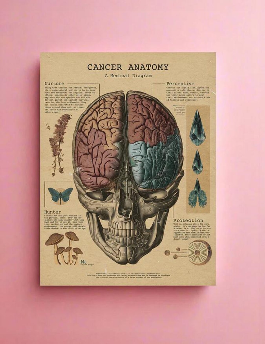 Cancer Medical Diagram Zodiac Anatomy Print, Zodiac Art, Fine Art ...