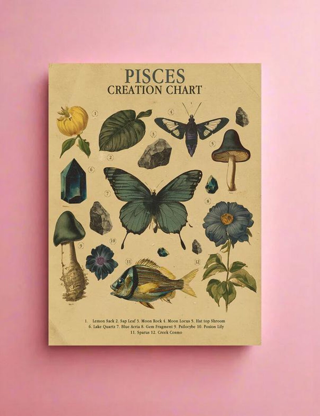 Pisces Nature Chart - Zodiac Creation Chart Print, Zodiac Art, Zodiac ...