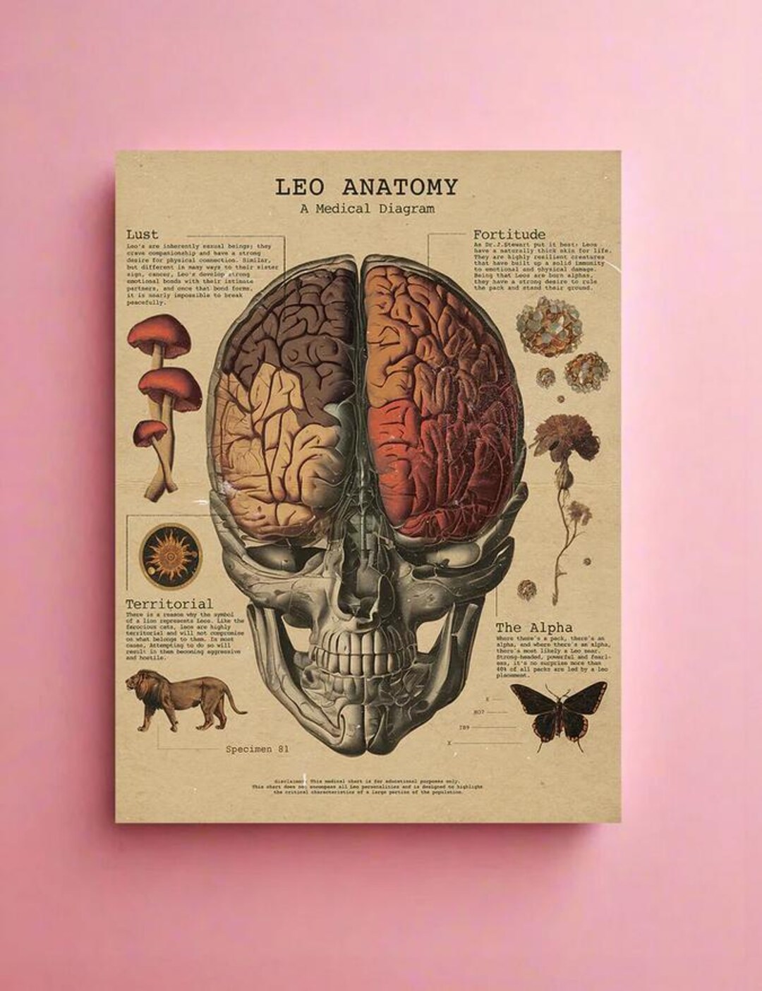 Leo Medical Diagram Zodiac Anatomy Print, Zodiac Art, Fine Art Poster ...