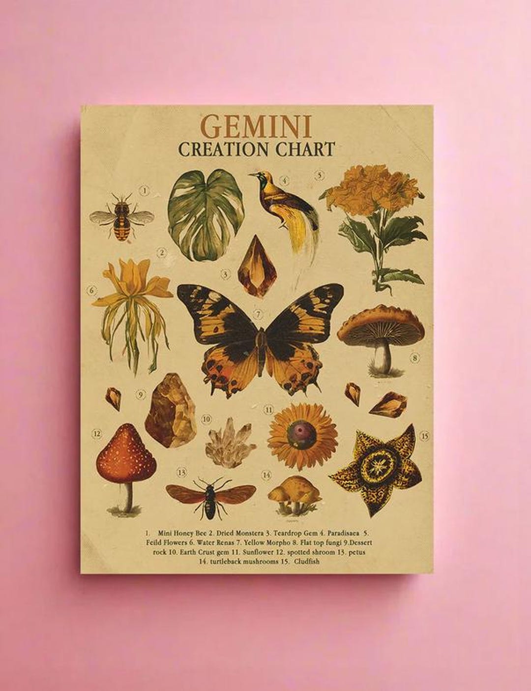 Gemini Nature Chart - Zodiac Creation Chart Print, Zodiac Art, Zodiac ...