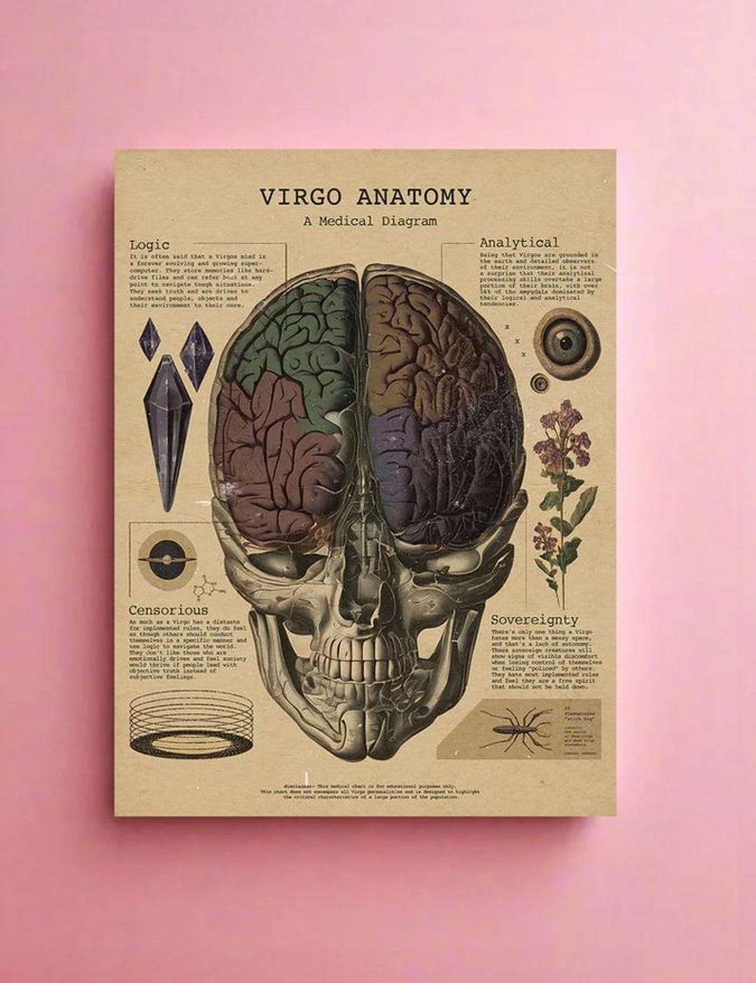 Virgo Medical Diagram Zodiac Anatomy Print, Zodiac Art, Fine Art Poster ...