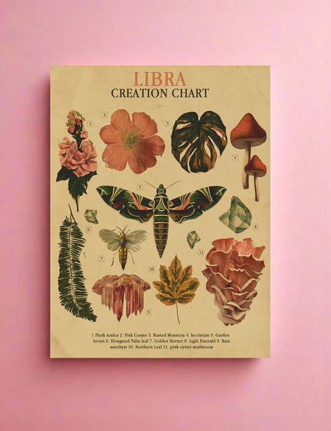 Libra Nature Chart - Zodiac Creation Chart Print, Zodiac Art, Zodiac ...