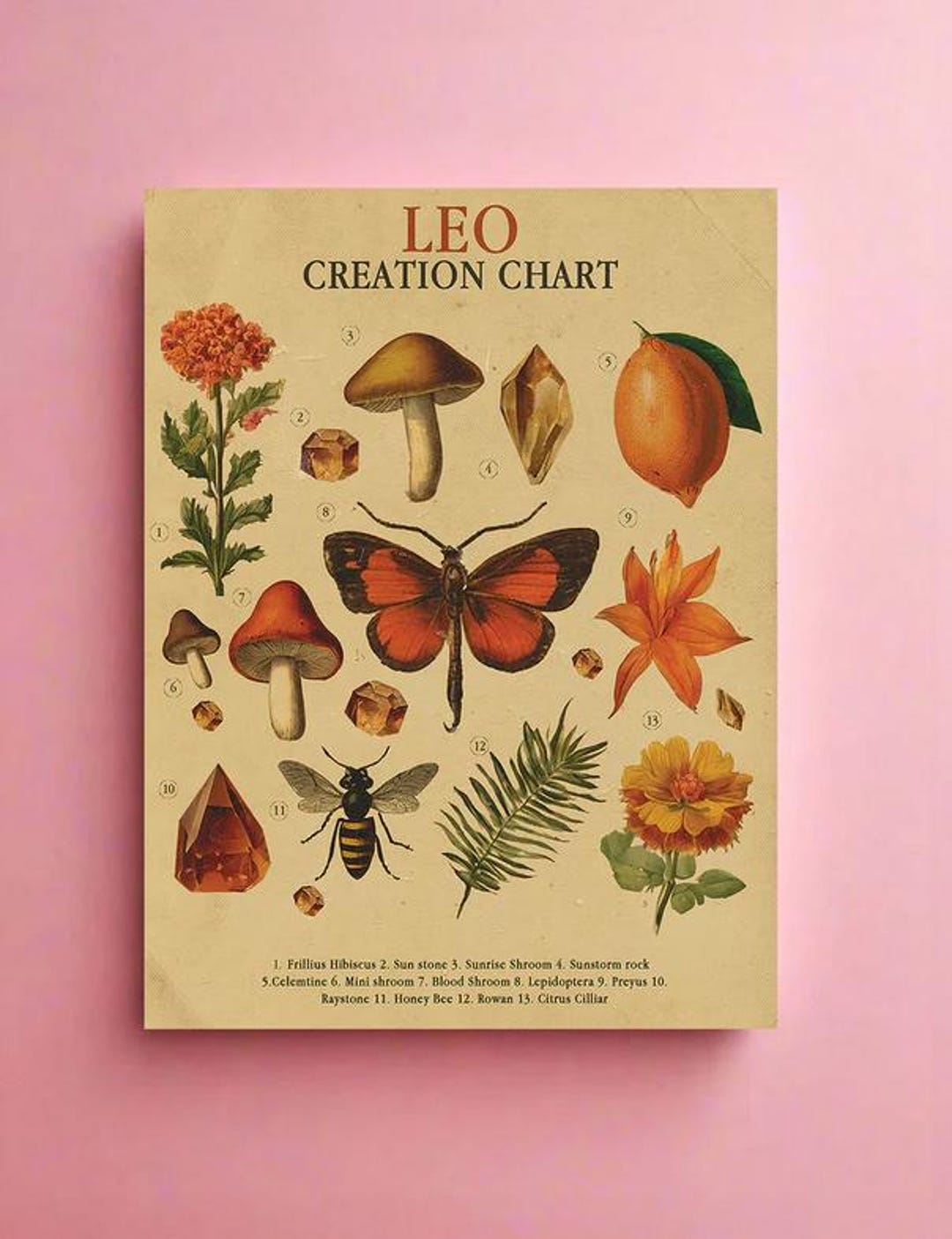 Leo Nature Chart - Zodiac Creation Chart Print, Zodiac Art, Zodiac ...