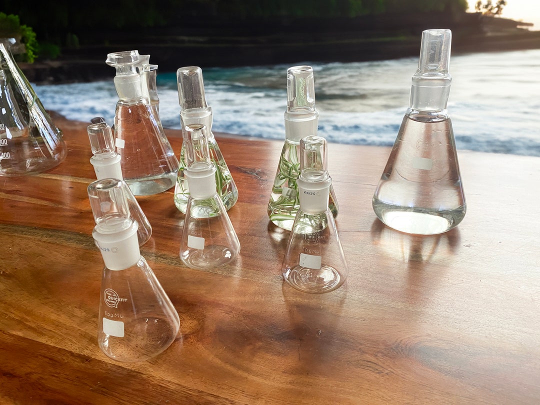 Vintage Chemistry Terrarium Bottle Erlenmeyer Flask Conical Glass Vase ...