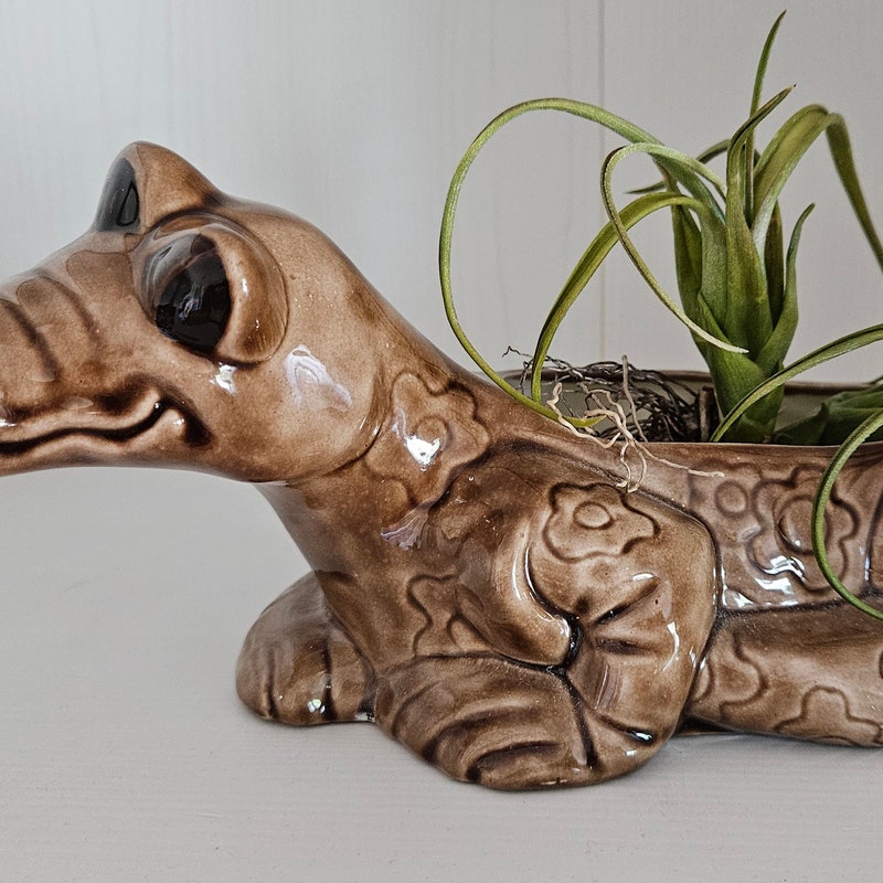 Alligator Planter - Etsy